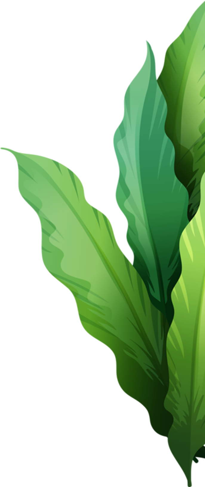 Service Version One – Sigma Marine Products, Ltd