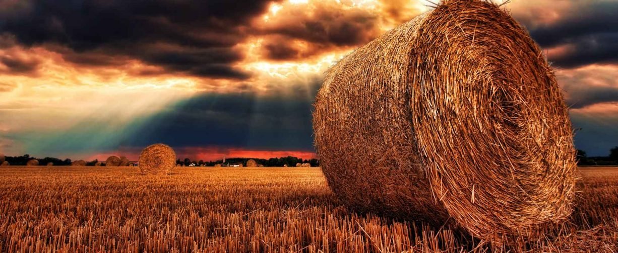 Organic Healthy Food – Sigma Marine Products, Ltd